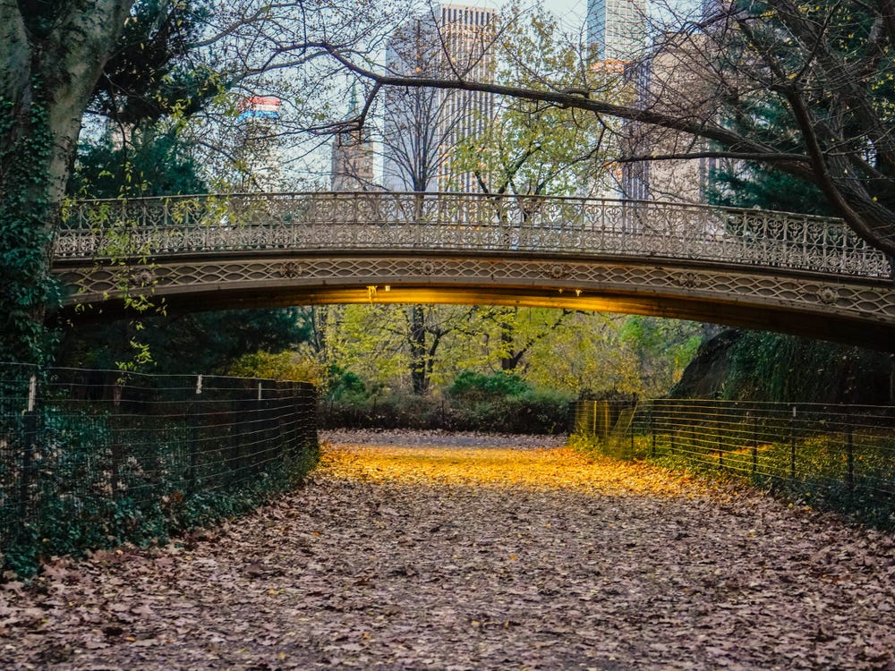 Elf Bridge Central Park - Hidden Pedicab Tour Stop NYC